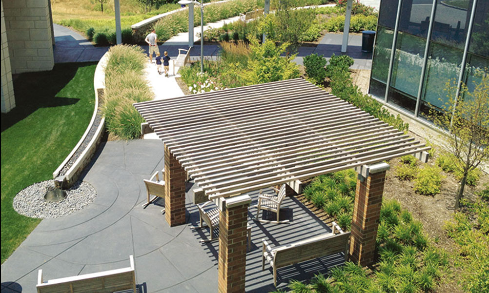 Ecotherapy: Healing the body by healing the Earth DD Medical ...